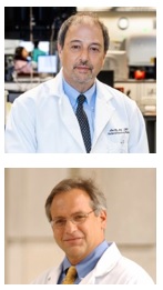 Drs. Alan Wells and Louis Falo Receive Clinical and Translational ...